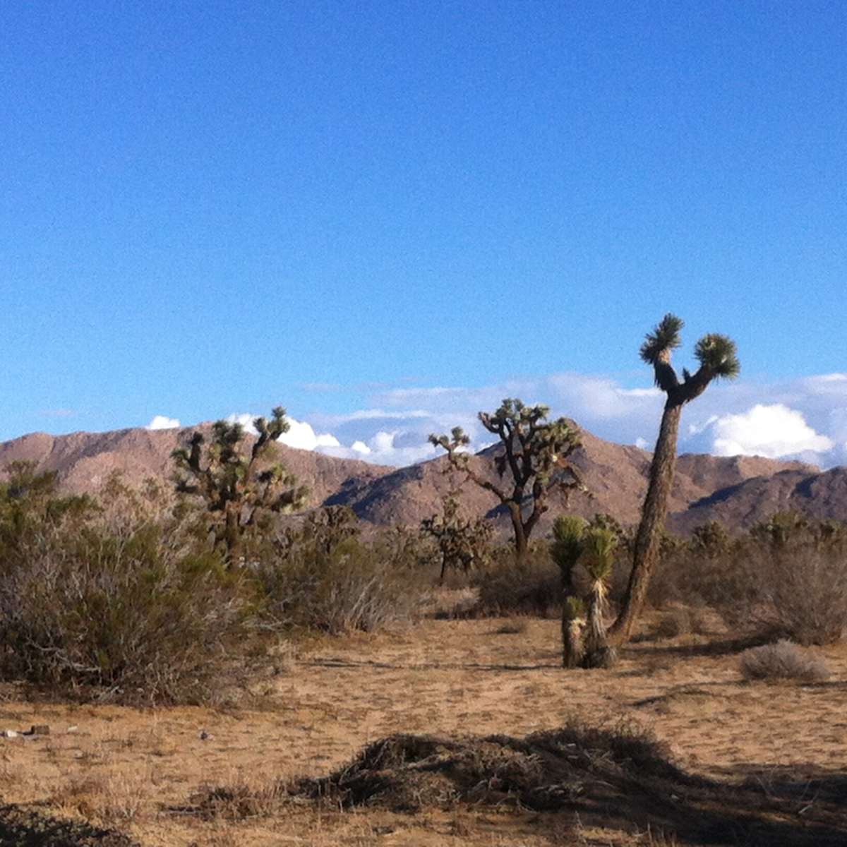 High Desert Ranch - Incredible Views, Lancaster, CA | Production ...
