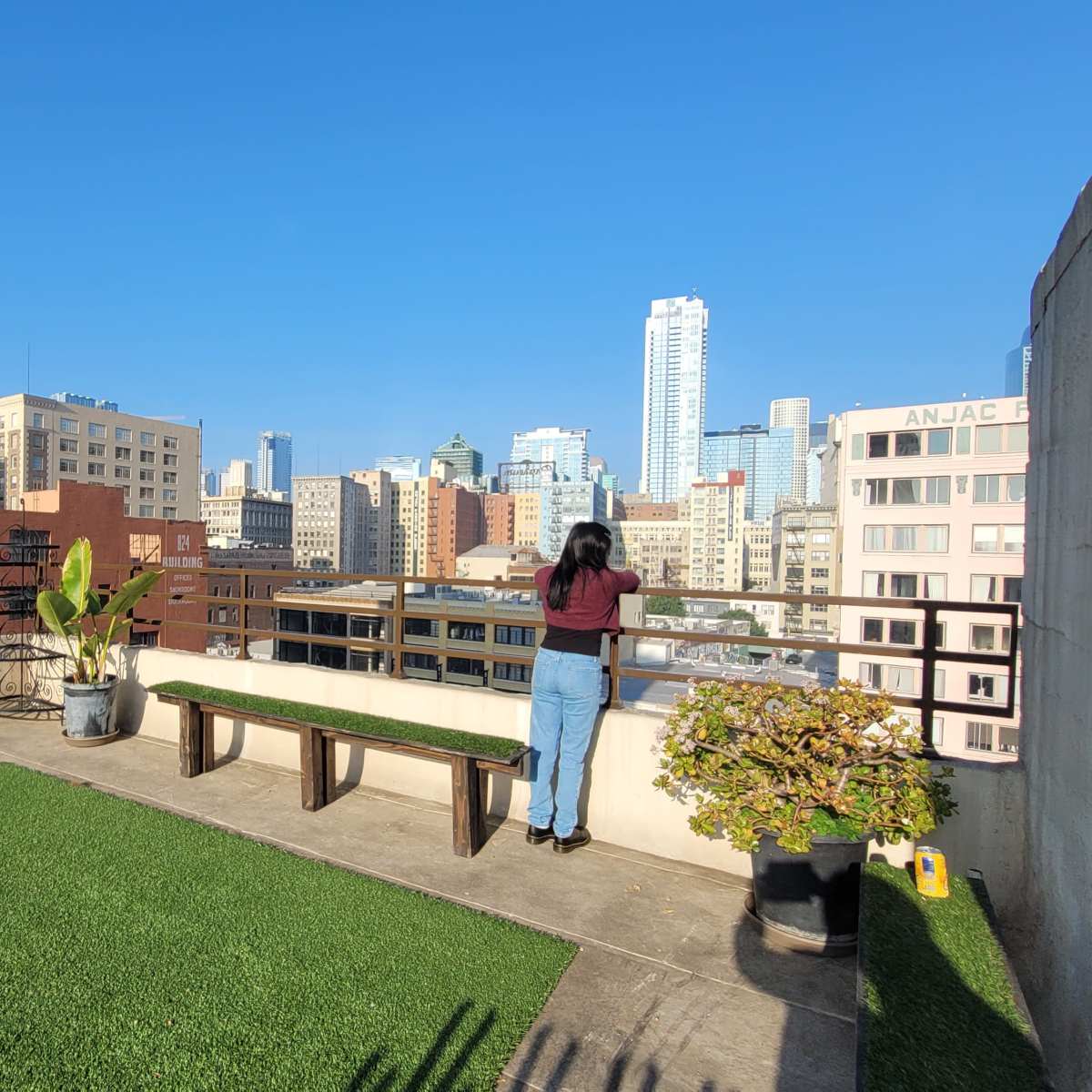 Skyline Serenity: An Exclusive DTLA Rooftop, Los Angeles, CA ...