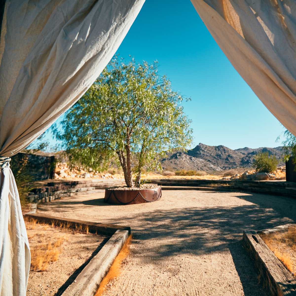 Joshua Tree Luxury Desert Retreat, Inn & Special Events, 1 mile from ...