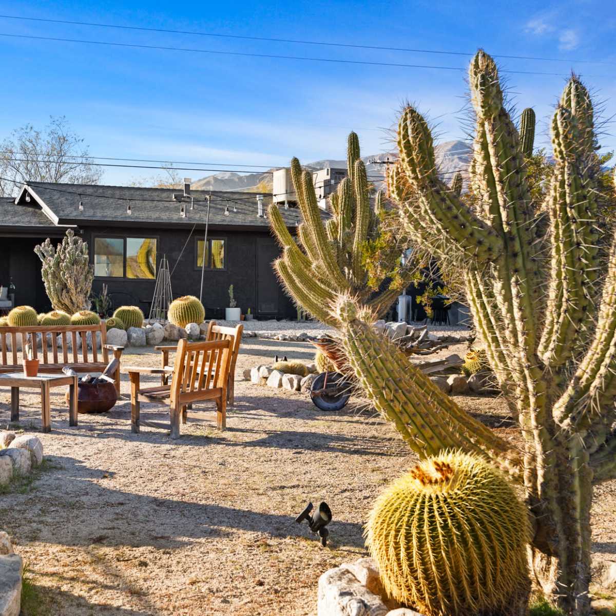 A desert home sitting in a cactus-filled botanical garden, MORONGO ...