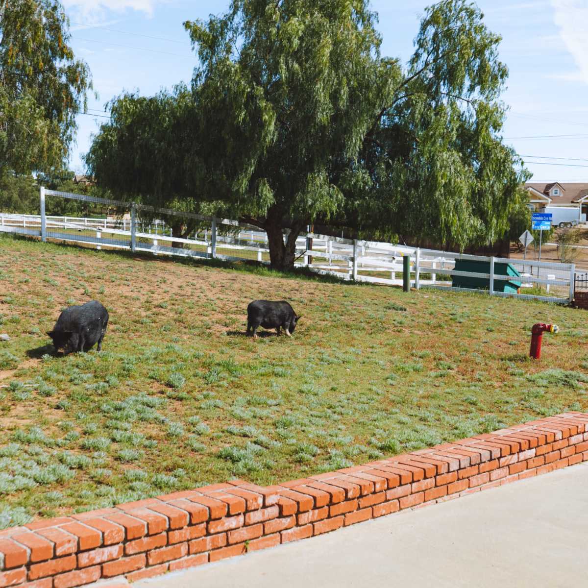 Five acre ranch on the outskirts of town, Agua Dulce, CA | Production ...