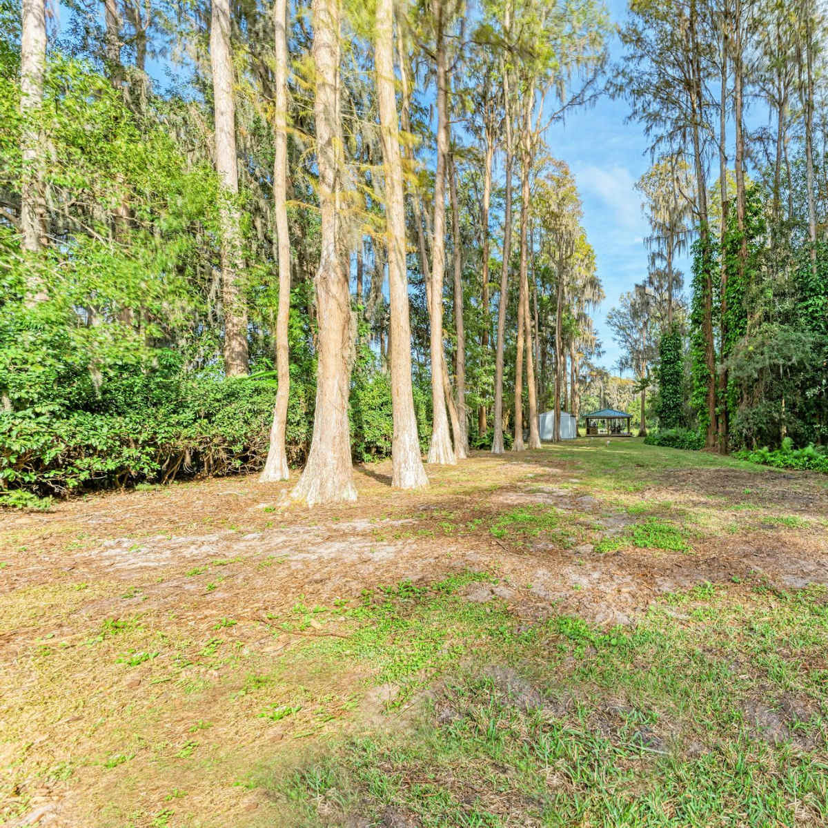 Beautiful and Large Backyard with Lakeview, Lutz, FL | Event | Peerspace