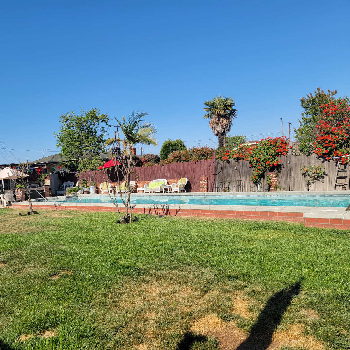 Outdoor Oasis, Gardena, CA | Production | Peerspace