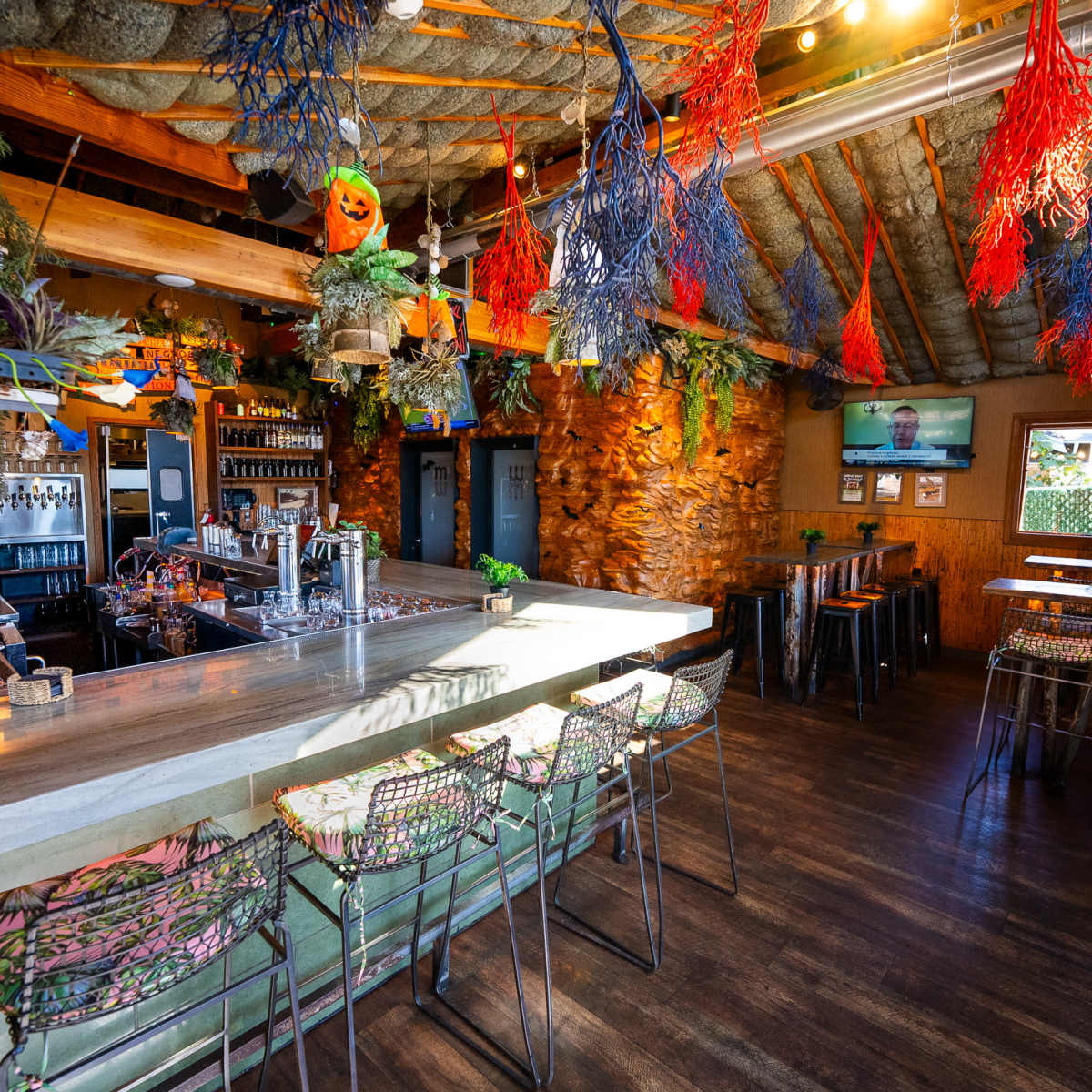 Beautiful Tropical Restaurant, San Diego, CA | Off-Site | Peerspace