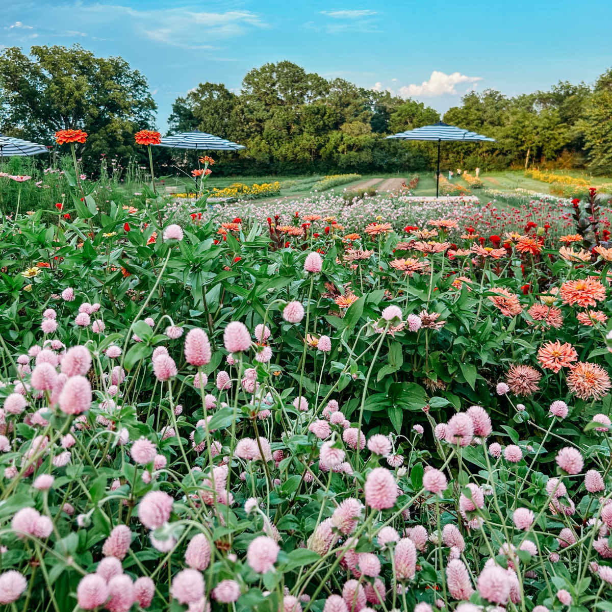 Flower Farm Venue and Party Room, Coweta, OK | Event | Peerspace