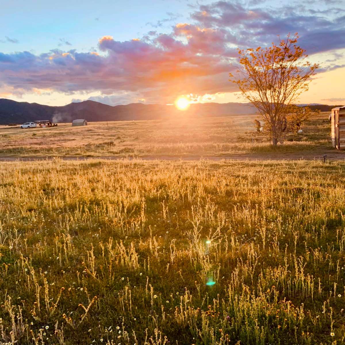 80 acre Ranch with 360* Mountain Views, New Cuyama, CA | Event | Peerspace