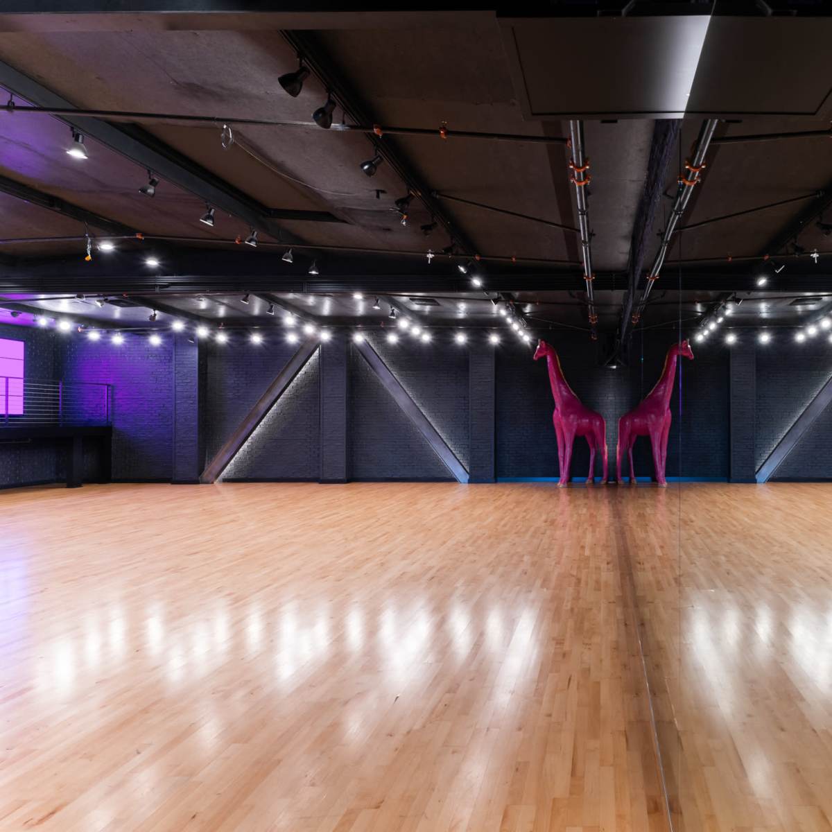 Premium Theatre-Style Dance Rehearsal / Filming Studio, North Hollywood ...