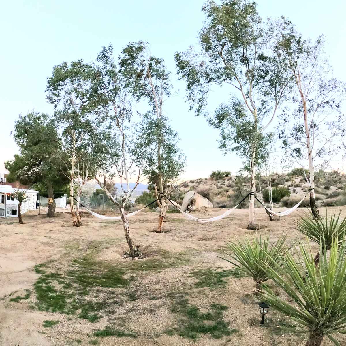 Joshua Tree, Yucca Valley oasis, 4 acres of total privacy, spa, outdoor ...