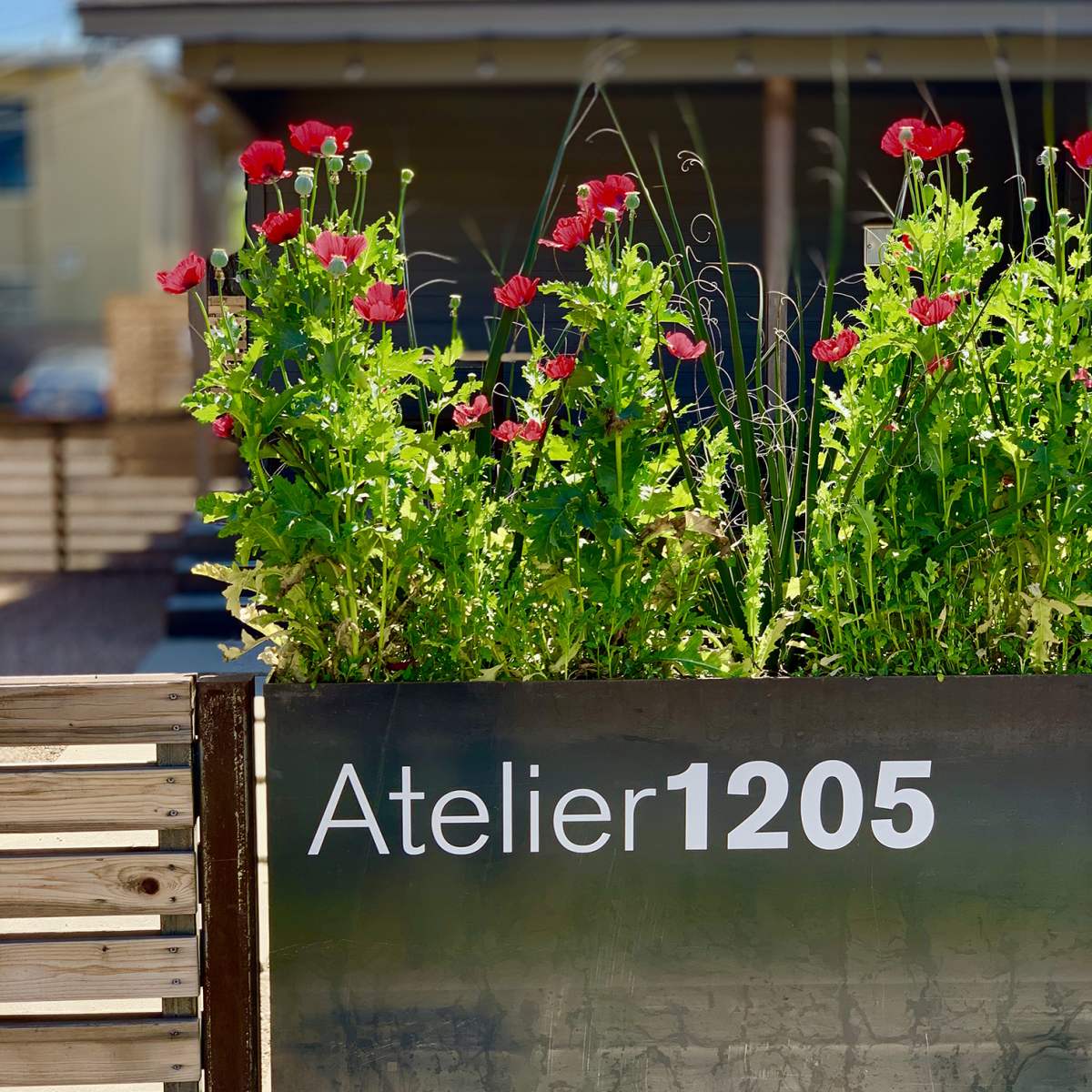 Atelier 1205, Austin, TX | Event | Peerspace