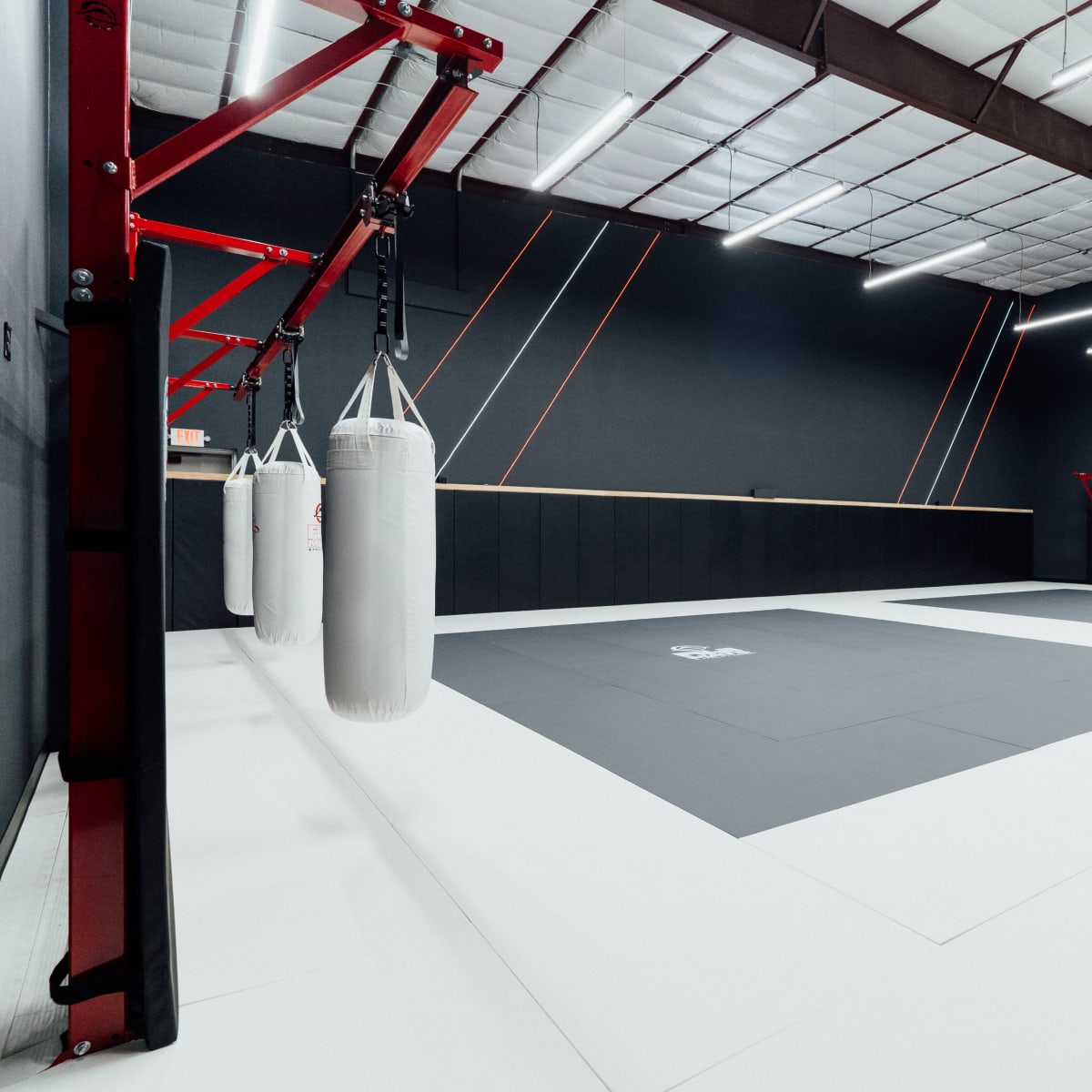 Private Gym/MMA Space for Film, Video, Social Media Content, Interviews ...