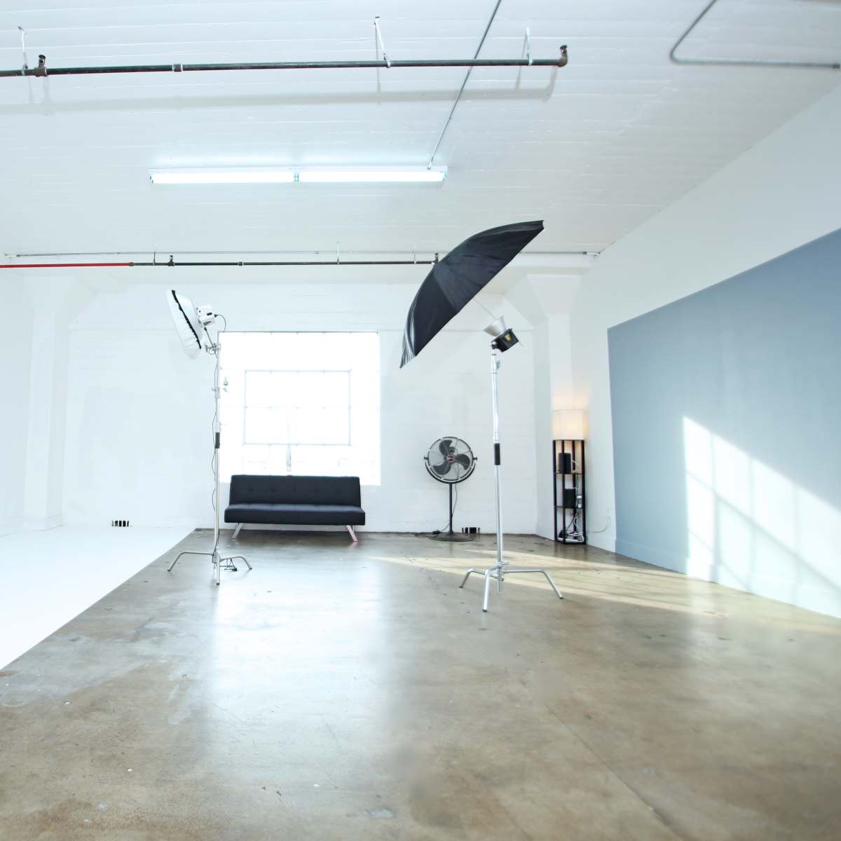 Large Professional Studio with Natural Light, Multiple Backgrounds and ...