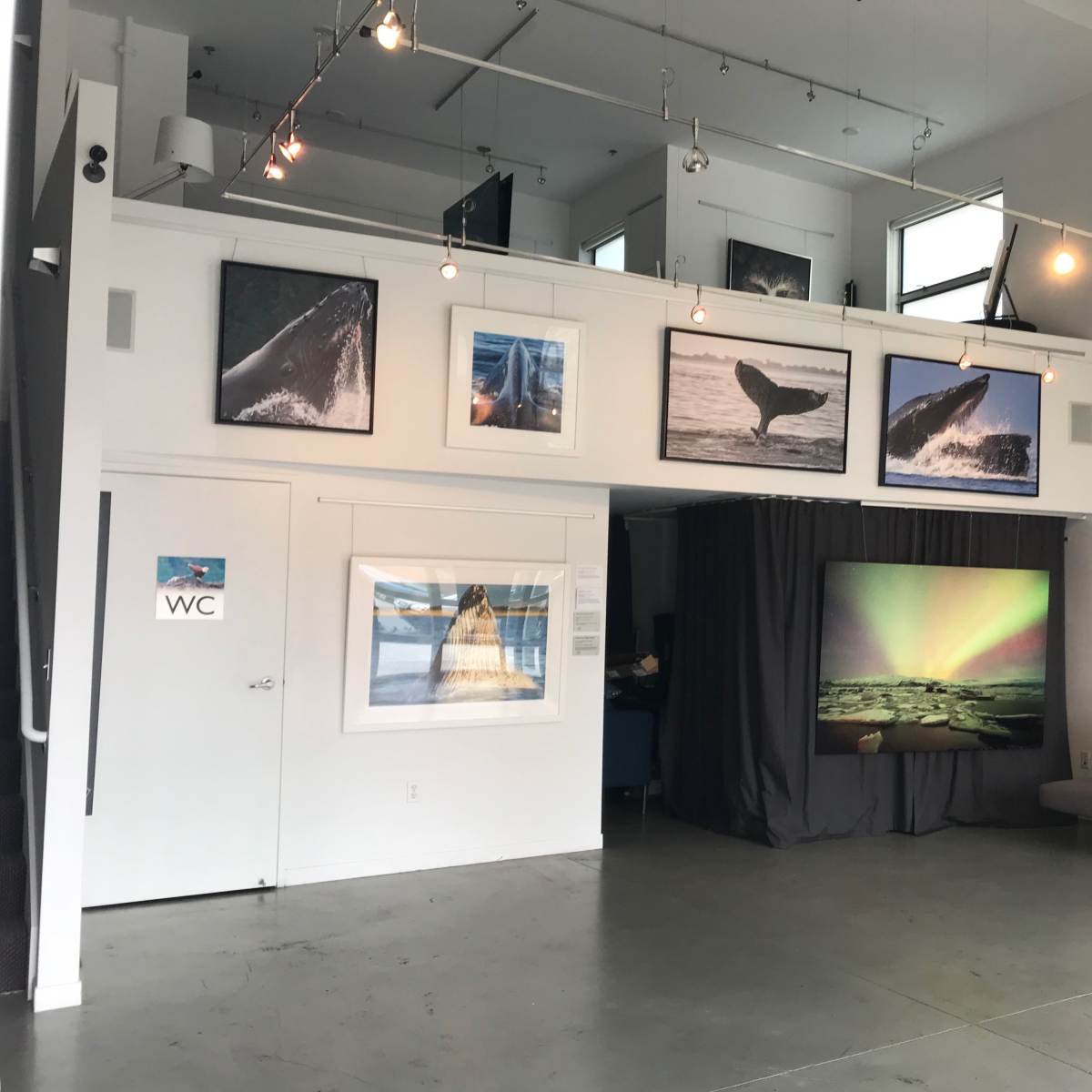 Pacific Landscapes Gallery | Modern Loft-Style Photography Gallery ...