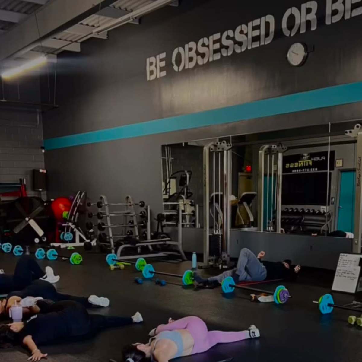 Fully equipped training gym, private studio with showers and kids room ...