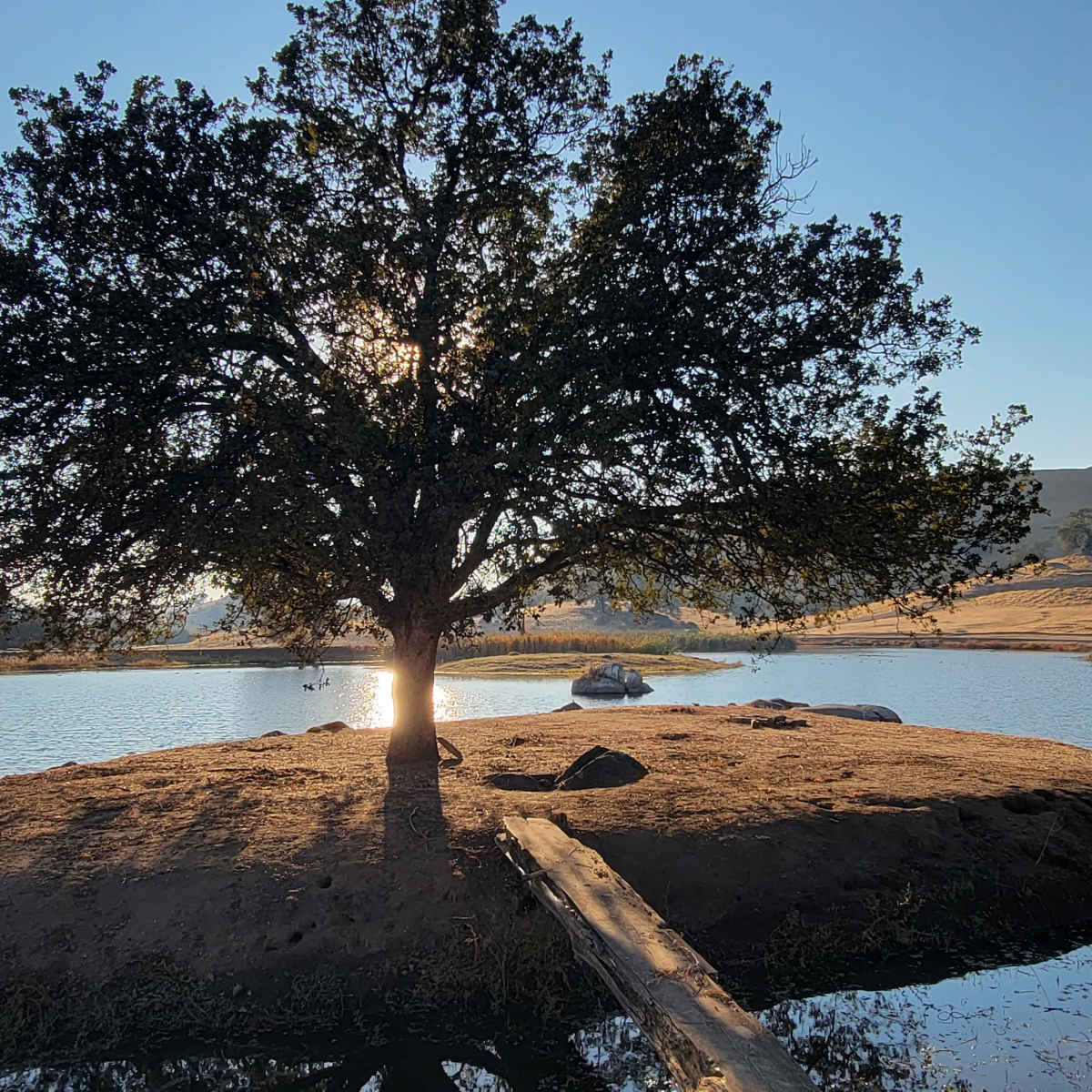 156 Acres of Mature Oaks, Rolling Hills, and Private Lakes, springville, CA | Production | Peerspace