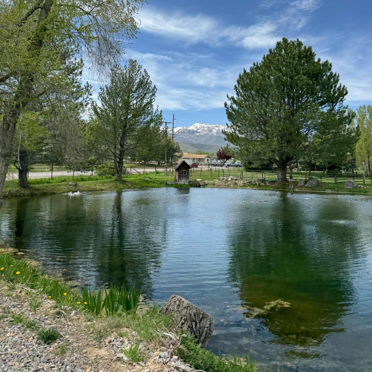 Midway Farm with Scenic Pastures, Pond, and Barn, Midway, UT | Event ...