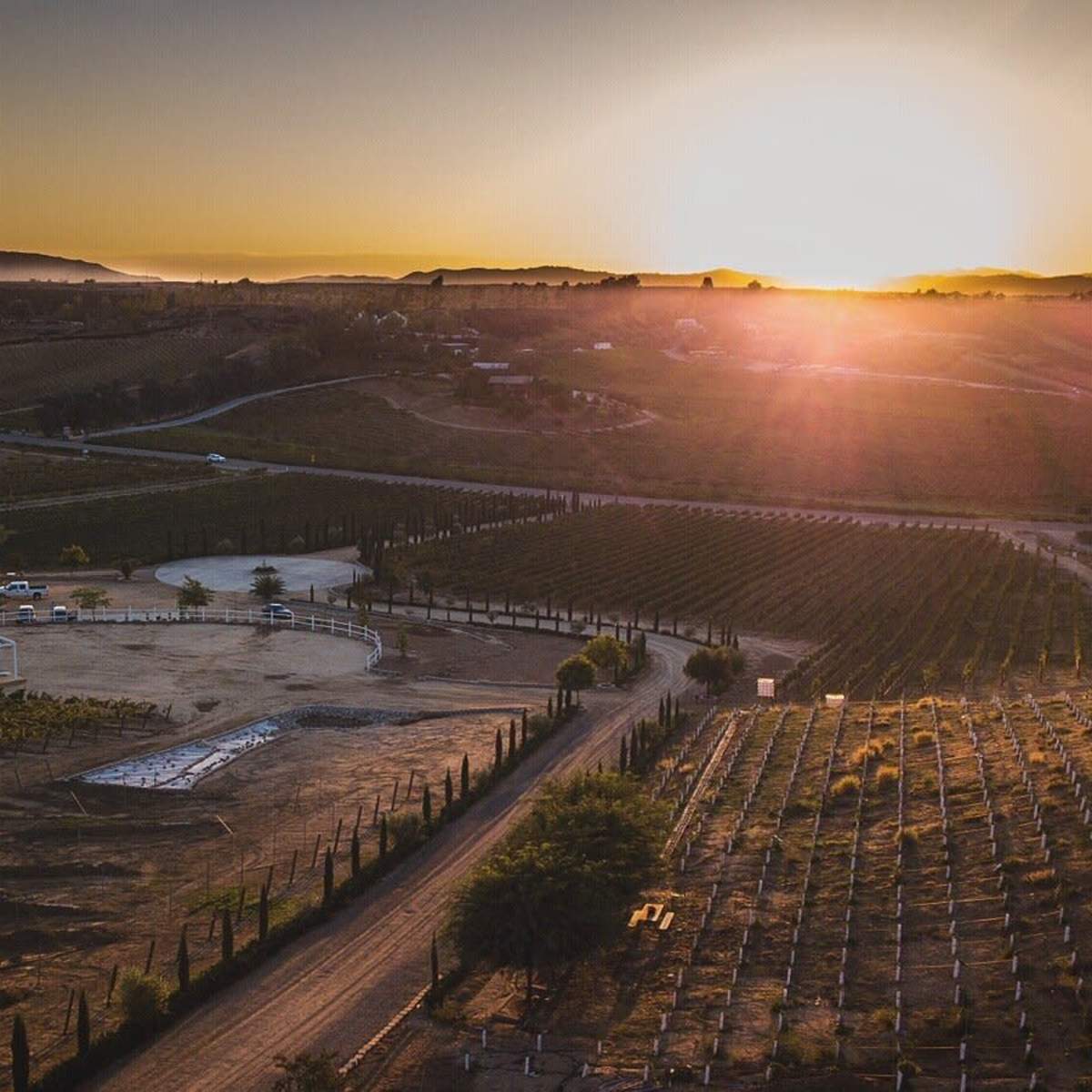 20-Acre Winery and Vineyard w/ Stunning Views & Expansive Outdoor ...