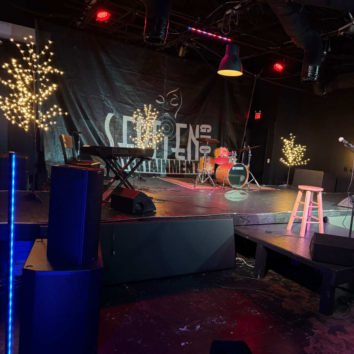 Unique Beautiful blingy black box theater with lights and action ...