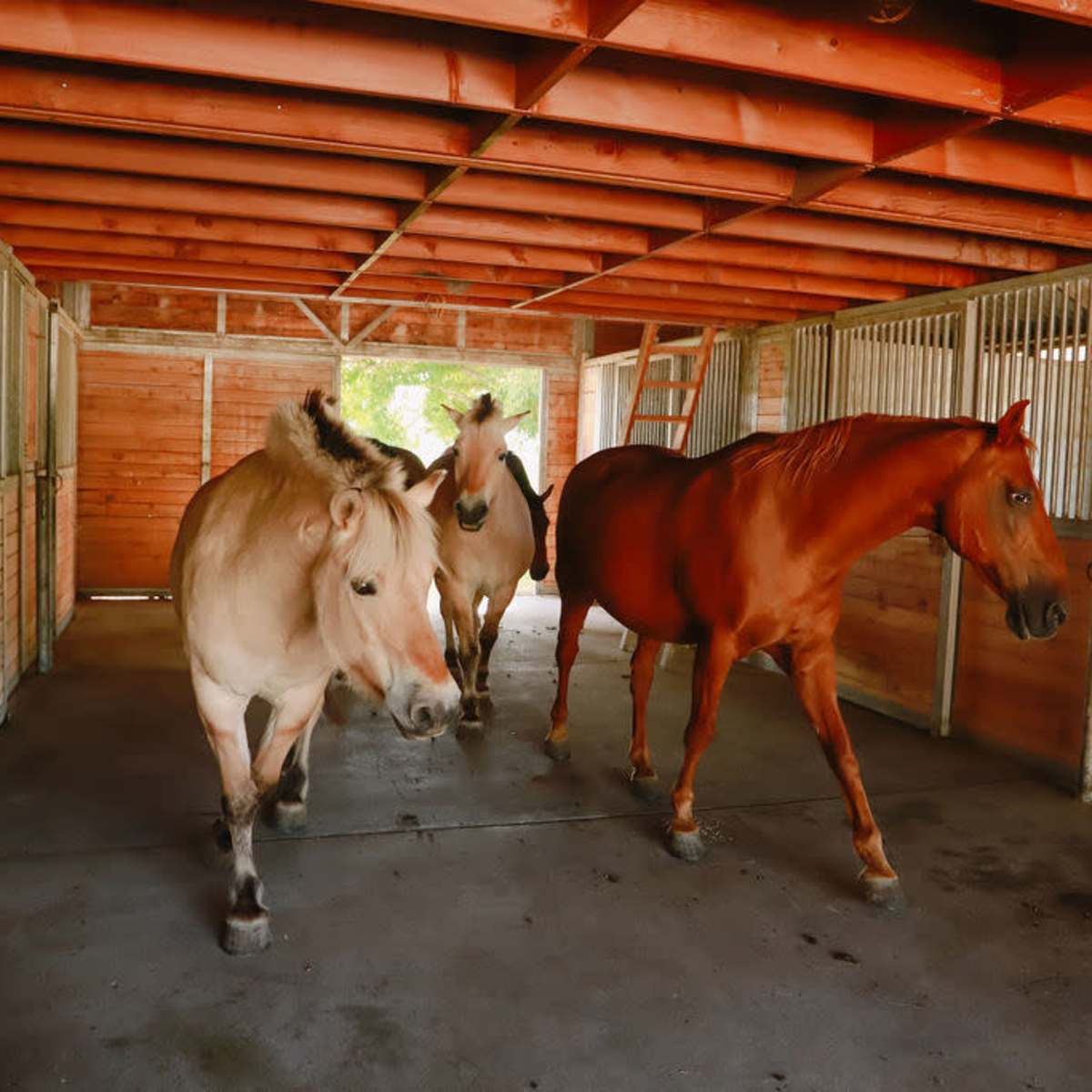 Midway Farm with Scenic Pastures, Pond, and Barn, Midway, UT | Event ...