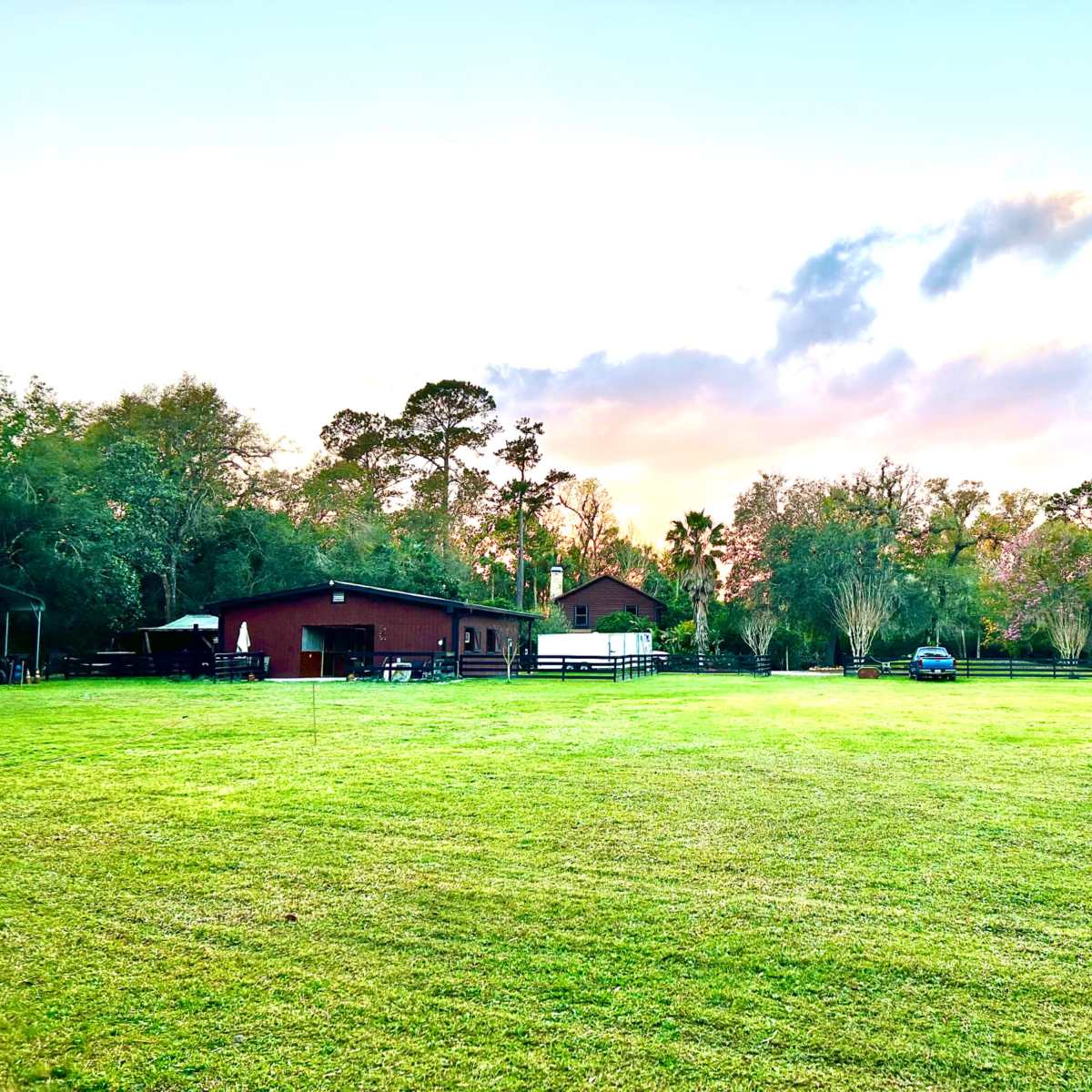 Rustic botanical setting on 7 acres of Old Florida. Mini farm animal ...