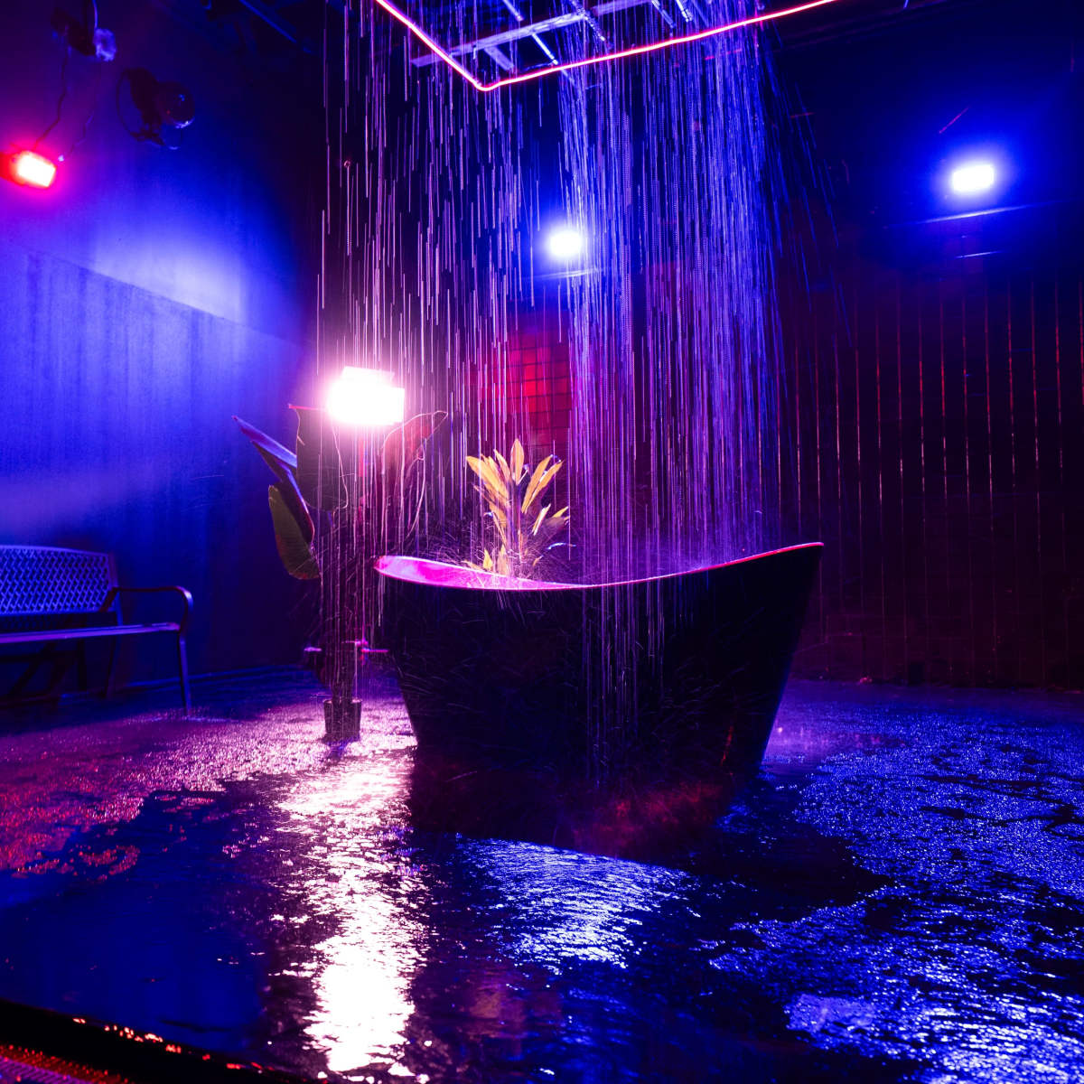 The famous Rain room features several different rain options and pre ...