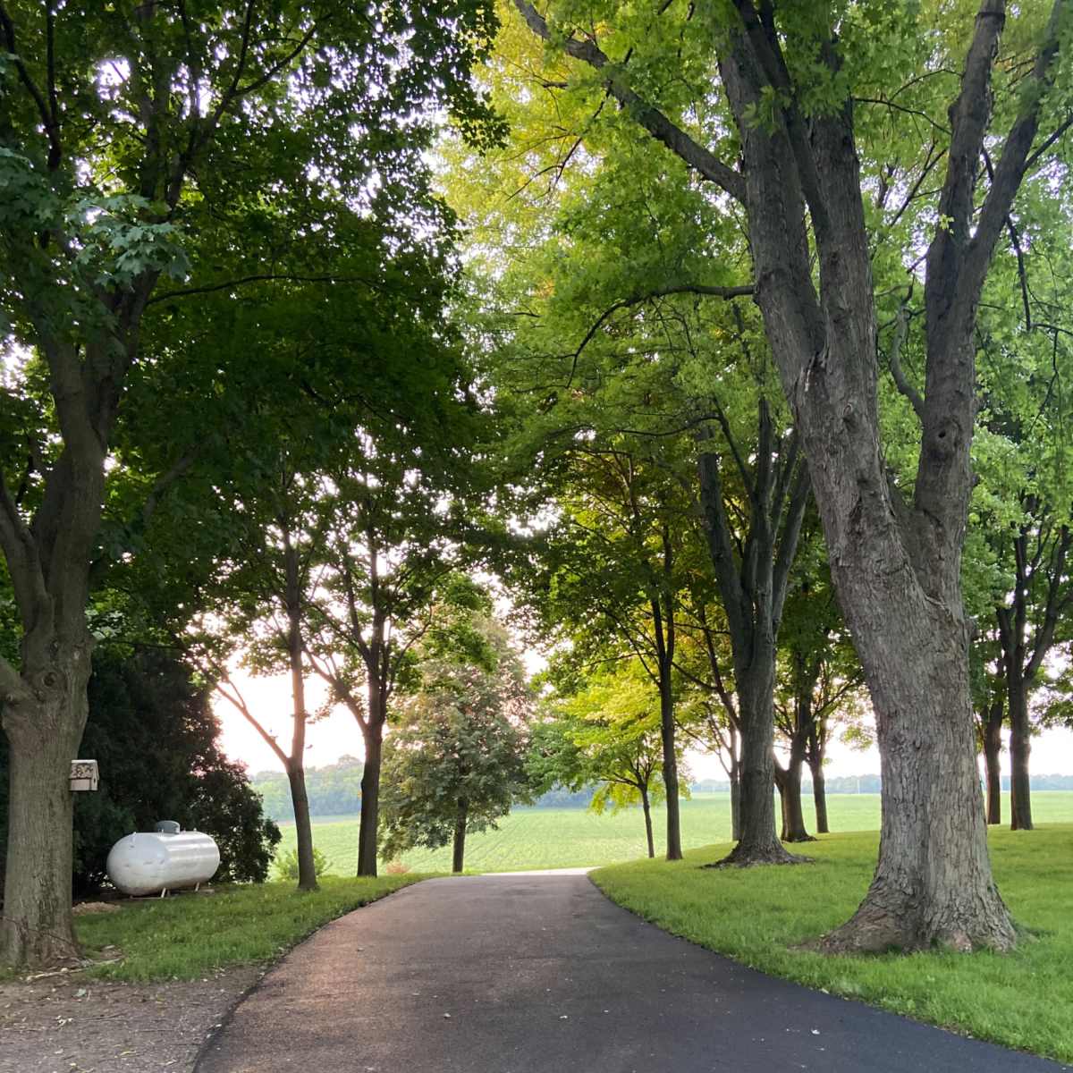 Farmette with pine grove and beautiful farm land views., Hampshire, IL ...