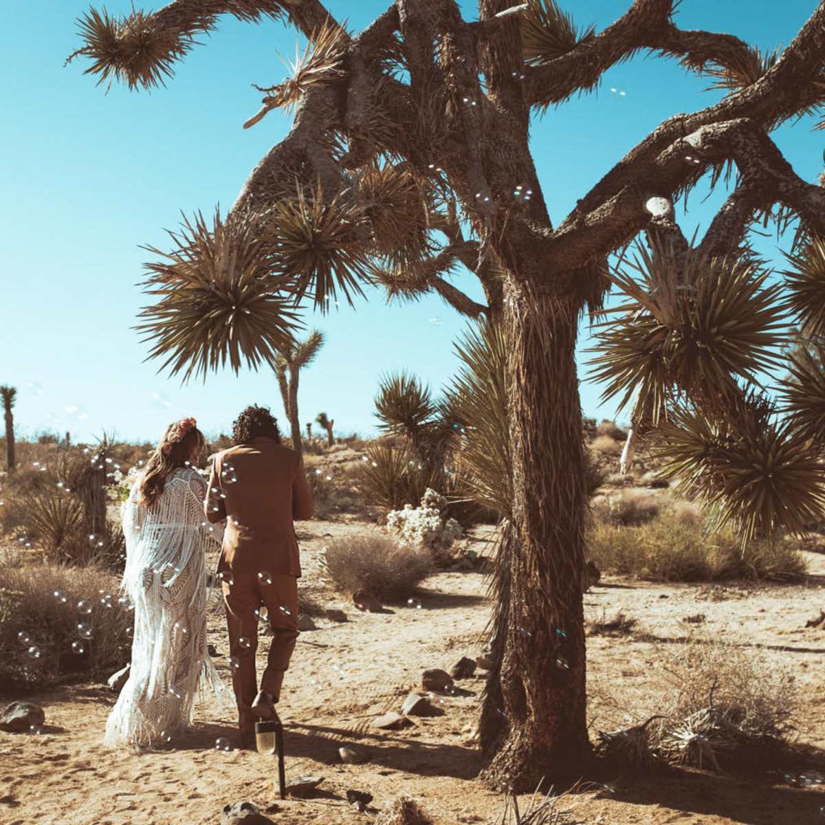 Rad Semi Rural Joshua Tree Event Space w/ Convenience To All ...
