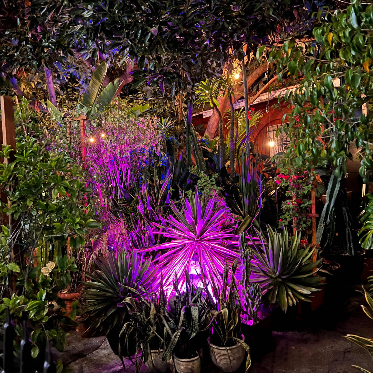 Hollywood Music Studio with Stunning Deck and Enclosed Garden, Los ...