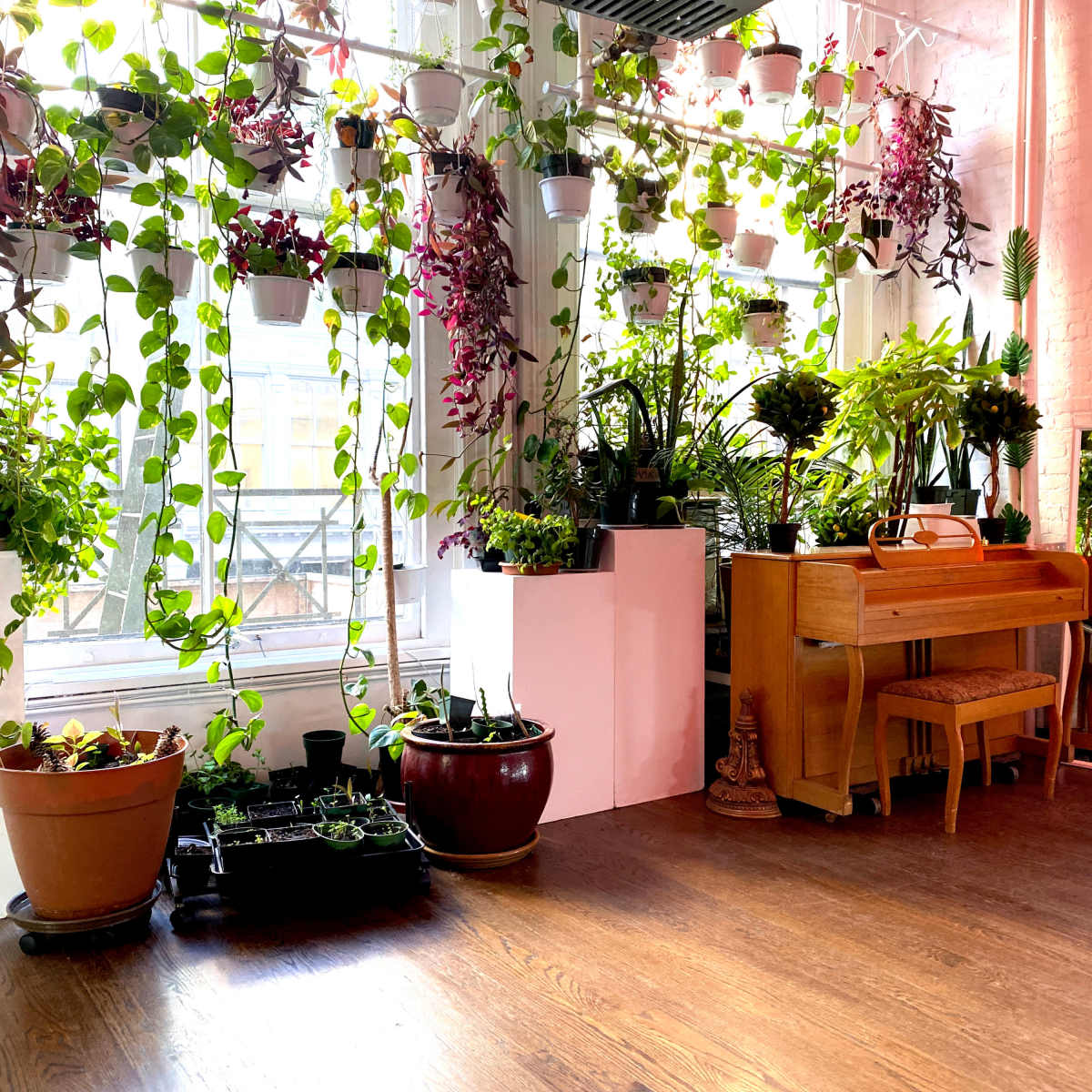 Botanical Loft, New York, NY | Production | Peerspace
