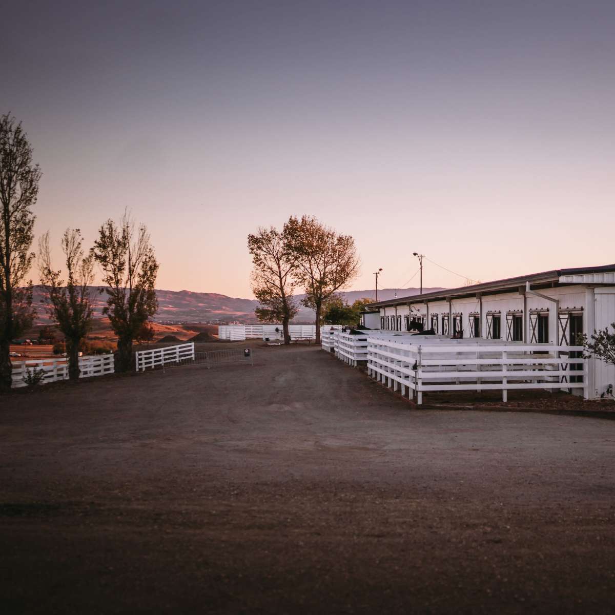 Gorgeous Equestrian Property & Rustic Ranch with Skyline Views ...