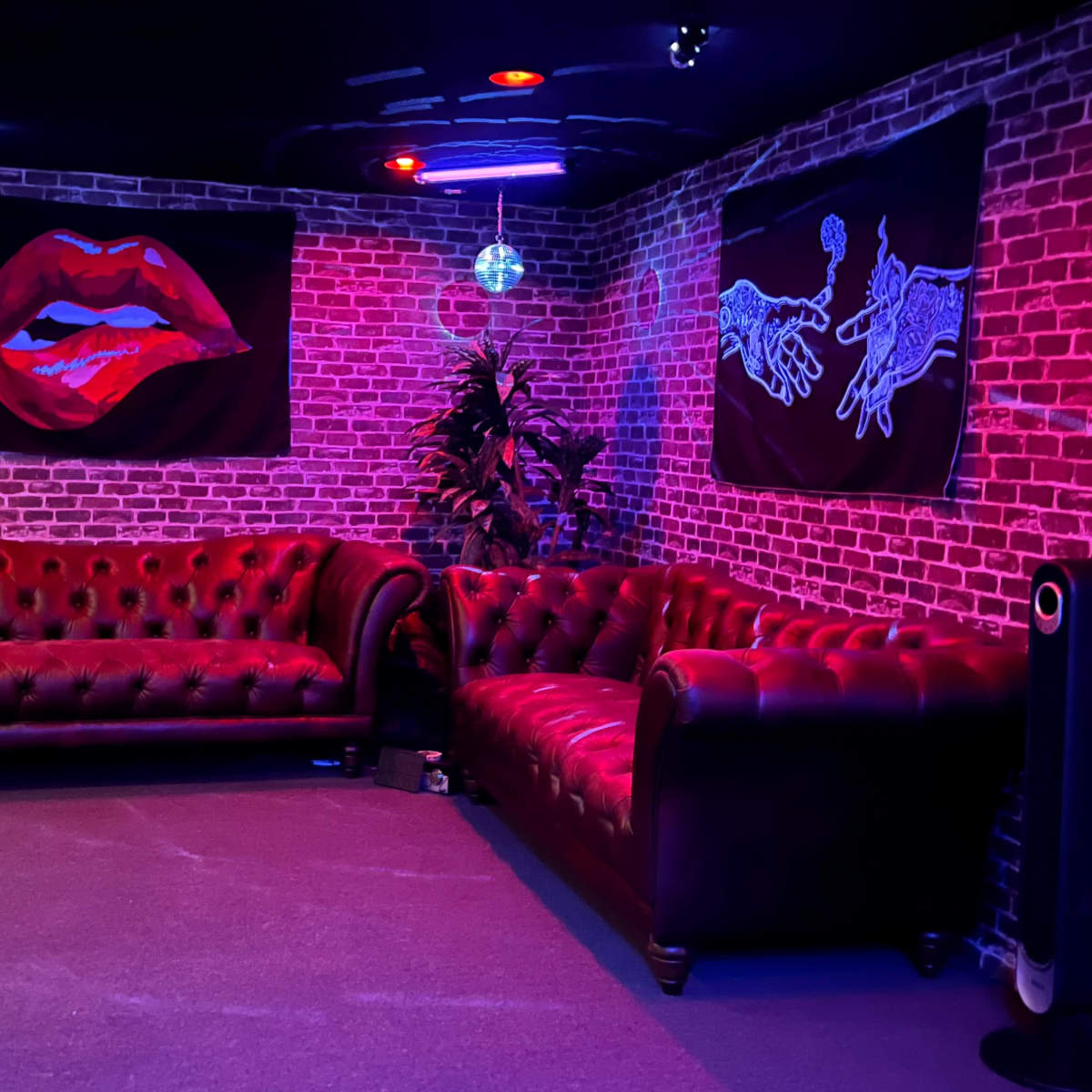 Urban, Basement, Rustic lounge with multiple backdrops and seating ...