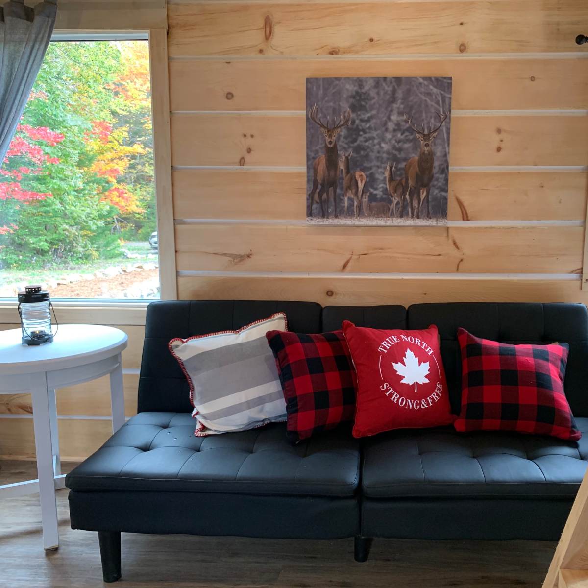 Cabin At The Goldmine with over 100 Acres to Explore, Madoc | Event ...