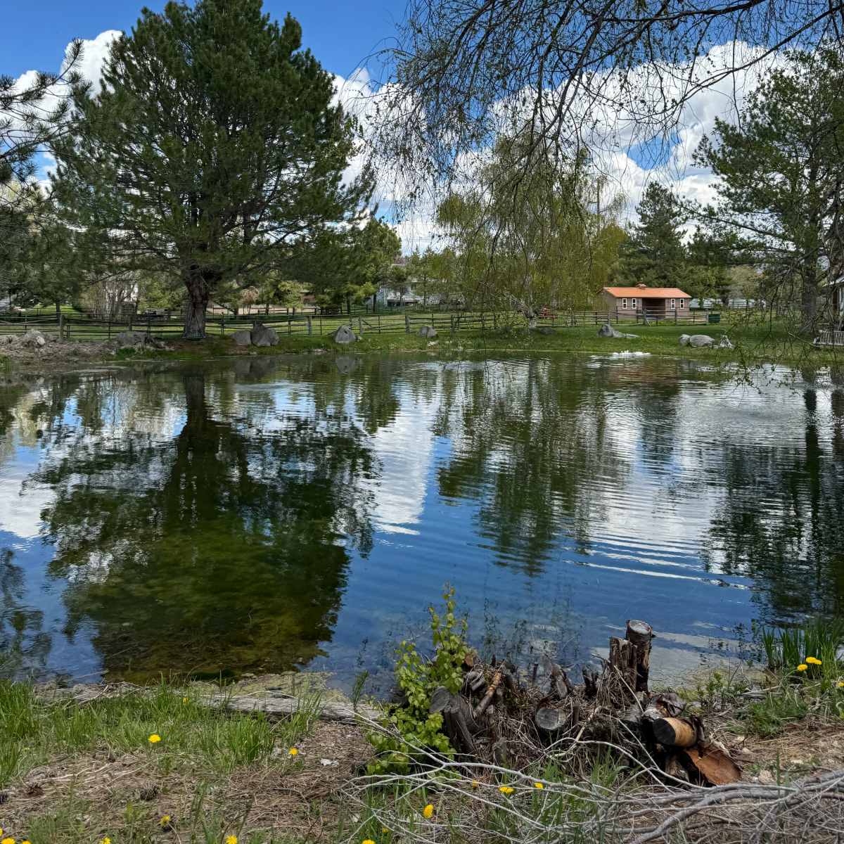 Midway Farm with Scenic Pastures, Pond, and Barn, Midway, UT | Event ...