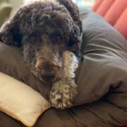 "THE SHOP " Renovated Mid Century Urban Auto Shop, Long Beach, CA ...