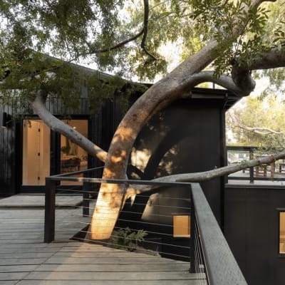 The Modern Treehouse, Los Angeles, CA | Off-Site | Peerspace