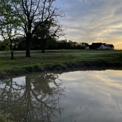 Sprawling 240 acre ranch with a brand new home, beauitful ponds, fields ...