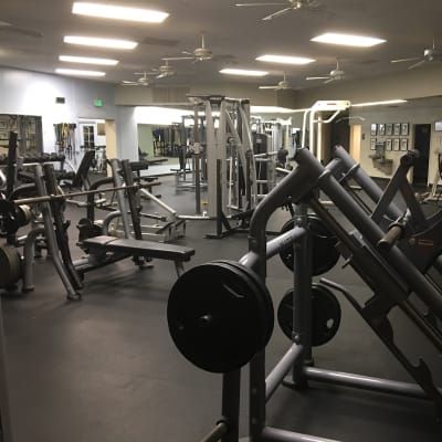 New Gym Space, Group Exercise Room, Weight Room, Locker Rooms, Cardio ...