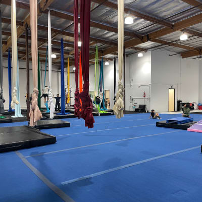 Elevate Aerial | Aerial Studio with high ceilings and blank walls ...