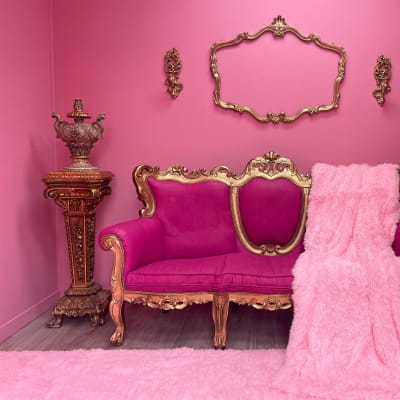 Hip Photo Studio 3 pink room - Equipment Available, Missouri City, TX ...