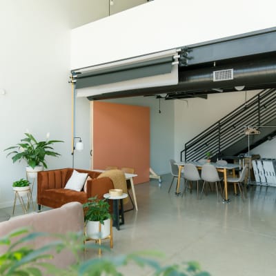 Alight Collaborative | Bright, high-end, natural light creative studio ...