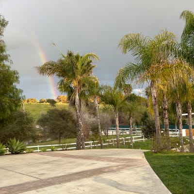 Mini Ranch on 3 acres with modern white barn and 3 horses, Fallbrook ...