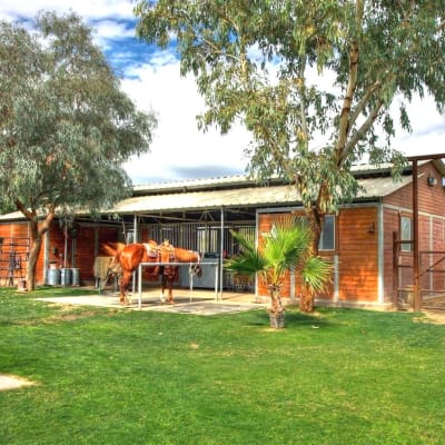 5 Acre Ranch, 5 bd house, lagoon style pool, large open areas, grass ...