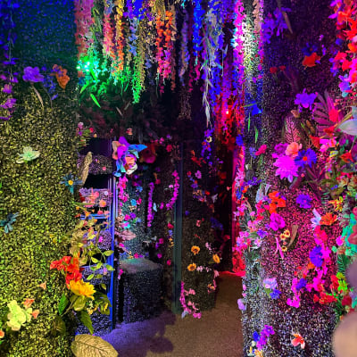 Unique Experiential Art Exhibit Space, Chicago, IL | Event | Peerspace