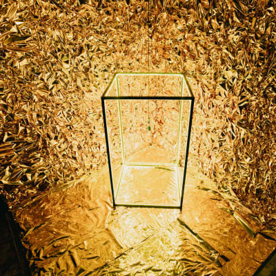 Golden Impala recording studio | Vibrant Color-Changeable Video ...