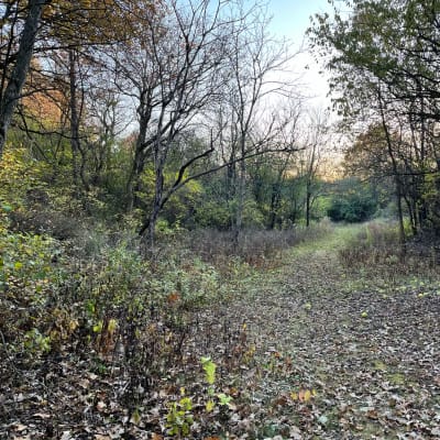 Stone Quarry on 28 Acre Farm, Belvidere, IL | Production | Peerspace