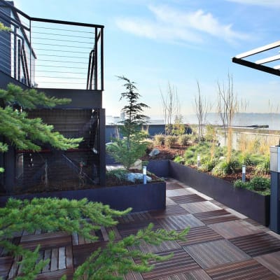 Amazing Lounge With Live Plants, Green House Ceiling and Rooftop Deck ...