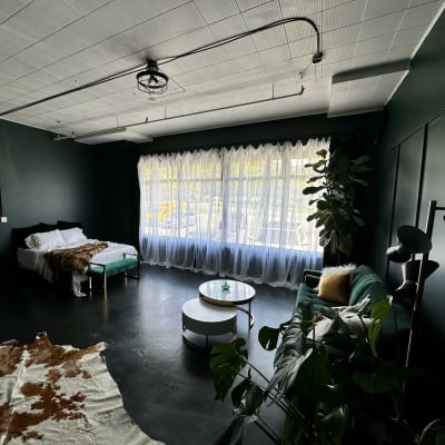 Chantel Allen Boudoir | The Green Room: a color drenched, moody, luxe ...