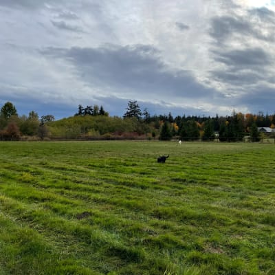 Spacious Ranch with Barn & Endless Fields, Parksville | Production ...