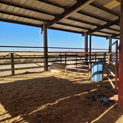 Covered Rodeo Arena Ranch, McFarland, CA | Production | Peerspace