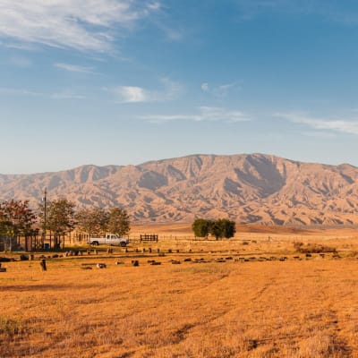 80 acre Ranch with 360* Mountain Views, New Cuyama, CA | Event | Peerspace