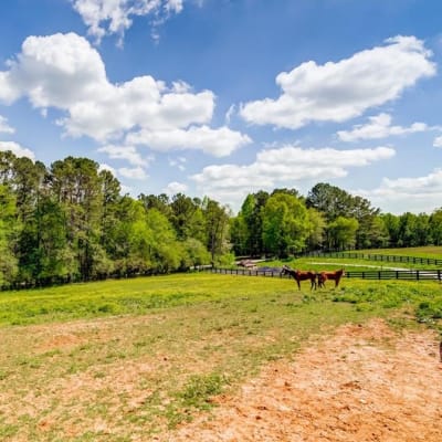 NEW LISTING INTRODUCTORY PRICE! - Infiniti Ranch - 6 acre Horse Ranch ...